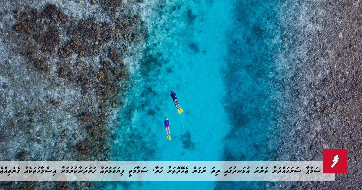 Farudhun: The people